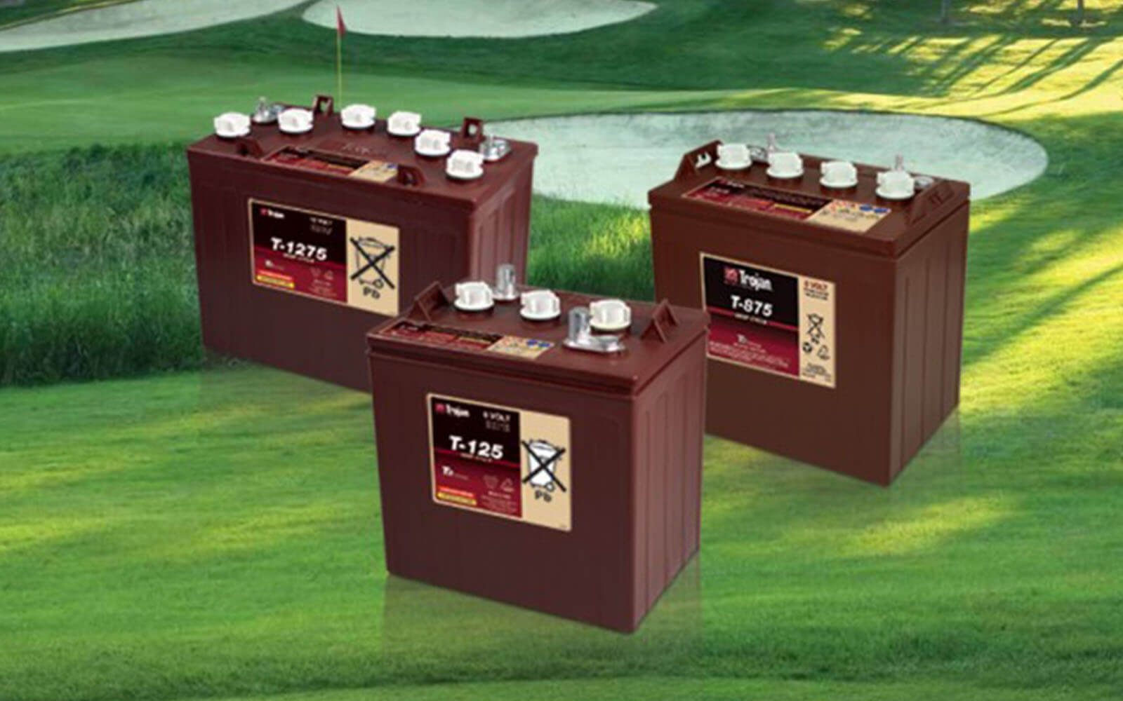Sunlight and Trojan Batteries | Turf Machinery & Irrigation LTD (TMIL)